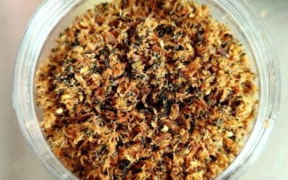 牛肉松怎么做_牛肉松的做法家常