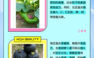 北瓜为什么叫尸瓜_北瓜和南瓜的区别