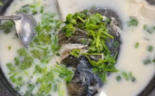 鱼头汤怎么炖不腥_鱼头汤怎么炖白