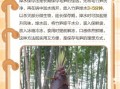毛竹笋能吃吗_毛竹笋怎么处理才能吃