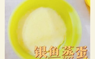 银鱼蒸蛋的营养价值_银鱼蒸蛋适合宝宝吃吗