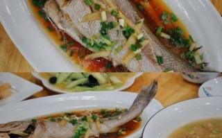 鮸鱼是什么鱼_鮸鱼好吃吗