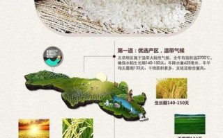 五常大米为什么好吃_五常大米怎么选