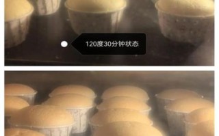 新手烤箱做小点心_第一次做会失败吗