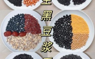 黑豆豆浆的功效与作用_黑豆豆浆怎么喝最营养