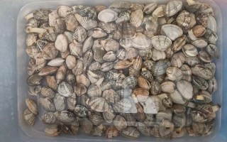 麦香基加盟费多少钱_麦香基加盟条件有哪些