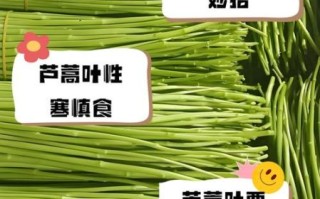 芦蒿叶子能不能吃_芦蒿叶子怎么吃