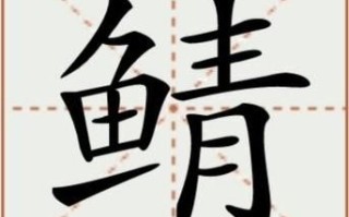 鲭怎么读_鲭鱼是什么鱼