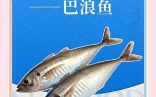 巴浪鱼的营养价值_巴浪鱼适合什么人吃