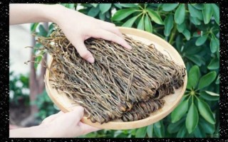 晒干豆角怎么晒_豆角晒干后怎么保存