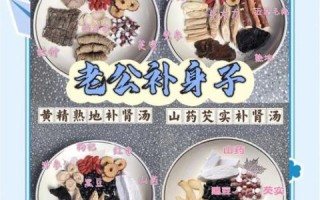 补肾汤食谱大全_补肾汤怎么做