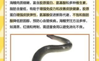 海鳗社区是什么_海鳗社区怎么用