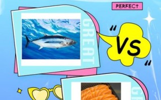 金枪鱼和三文鱼哪个贵_价格差异原因