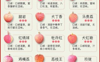 荔枝怎么保存_荔枝一天吃几个最好