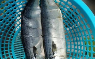 青川鱼图片_哪里能看到高清青川鱼照片