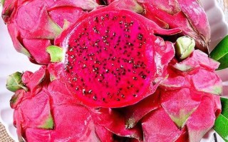 红心火龙果图片_怎么挑选成熟果实