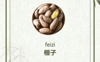 香榧子一天吃几个_香榧子吃多了会怎样