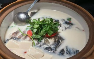 鱼头汤怎么做_鱼头汤用什么鱼头最好