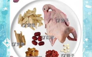 孕妇能喝鸽子汤吗初期_孕早期喝鸽子汤安全吗