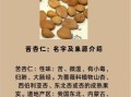 杏仁的功效与作用及禁忌症_孕妇能吃杏仁吗