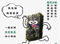 海苔是什么东西_海苔和紫菜的区别