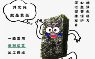 海苔是什么东西_海苔和紫菜的区别