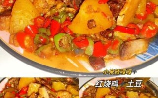 鸡块土豆怎么做好吃_鸡块土豆的做法大全