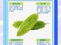 苦瓜不能和什么一起吃_苦瓜相克食物有哪些