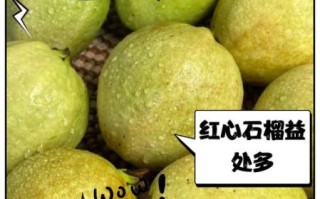 红心番石榴的功效与作用_红心番石榴的禁忌有哪些