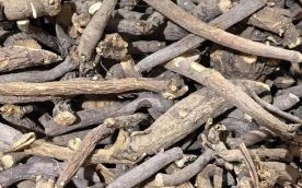 赤芍图片长什么样_赤芍和芍药怎么区分