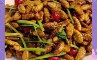 炒蚕蛹怎么做好吃_家常炒蚕蛹的窍门