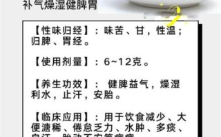 白术的功效与作用及用量_白术一天吃多少克合适