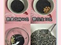 黑芝麻汤圆怎么做_黑芝麻汤圆馅料怎么调