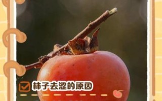 柿子怎么吃不涩_柿子去涩最快的方法