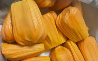 红肉菠萝蜜怎么挑选_红肉菠萝蜜和榴莲的区别