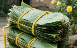 新鲜粽叶怎么处理才能用_粽叶使用前要不要煮