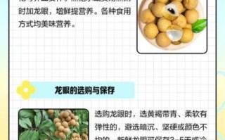 龙眼几月份成熟_龙眼什么时候上市