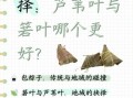 粽叶和芦苇叶的区别_哪个更适合包粽子