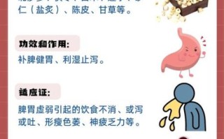 健脾胃的中成药有哪些最好_脾虚吃什么中成药见效快