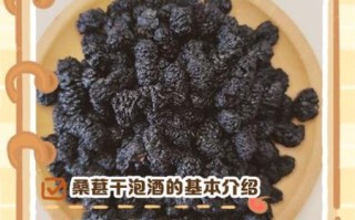 桑葚干500克泡几斤白酒_比例与口感全解析