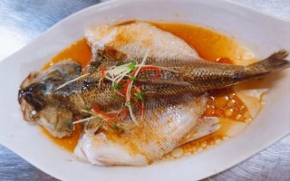 淡水鲈鱼吃什么食物_淡水鲈鱼最爱吃什么