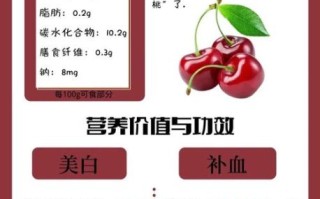 樱桃能美白吗_樱桃一天吃多少合适