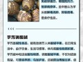 芋艿的功效与作用_芋艿的禁忌人群有哪些