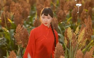 高粱红了演员表_高粱红了主要演员是谁