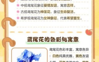 鸢尾花花语是什么_不同颜色代表什么含义