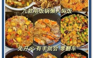 电饭煲懒人饭菜谱大全_怎么做简单又好吃