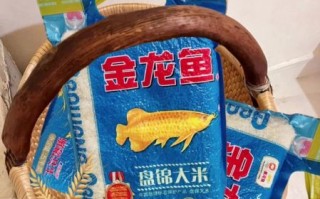 大米鱼是什么鱼_大米鱼价格多少钱一斤