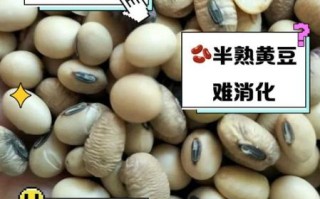 黄豆不泡可以直接煮吗_黄豆不泡多久能煮熟