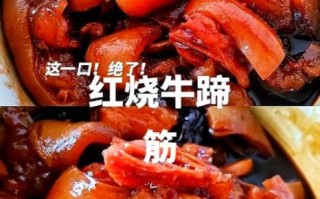 红烧牛筋怎么烧好吃_红烧牛筋的家常做法