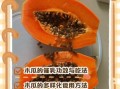 木瓜怎么吃才好吃_木瓜的正确吃法